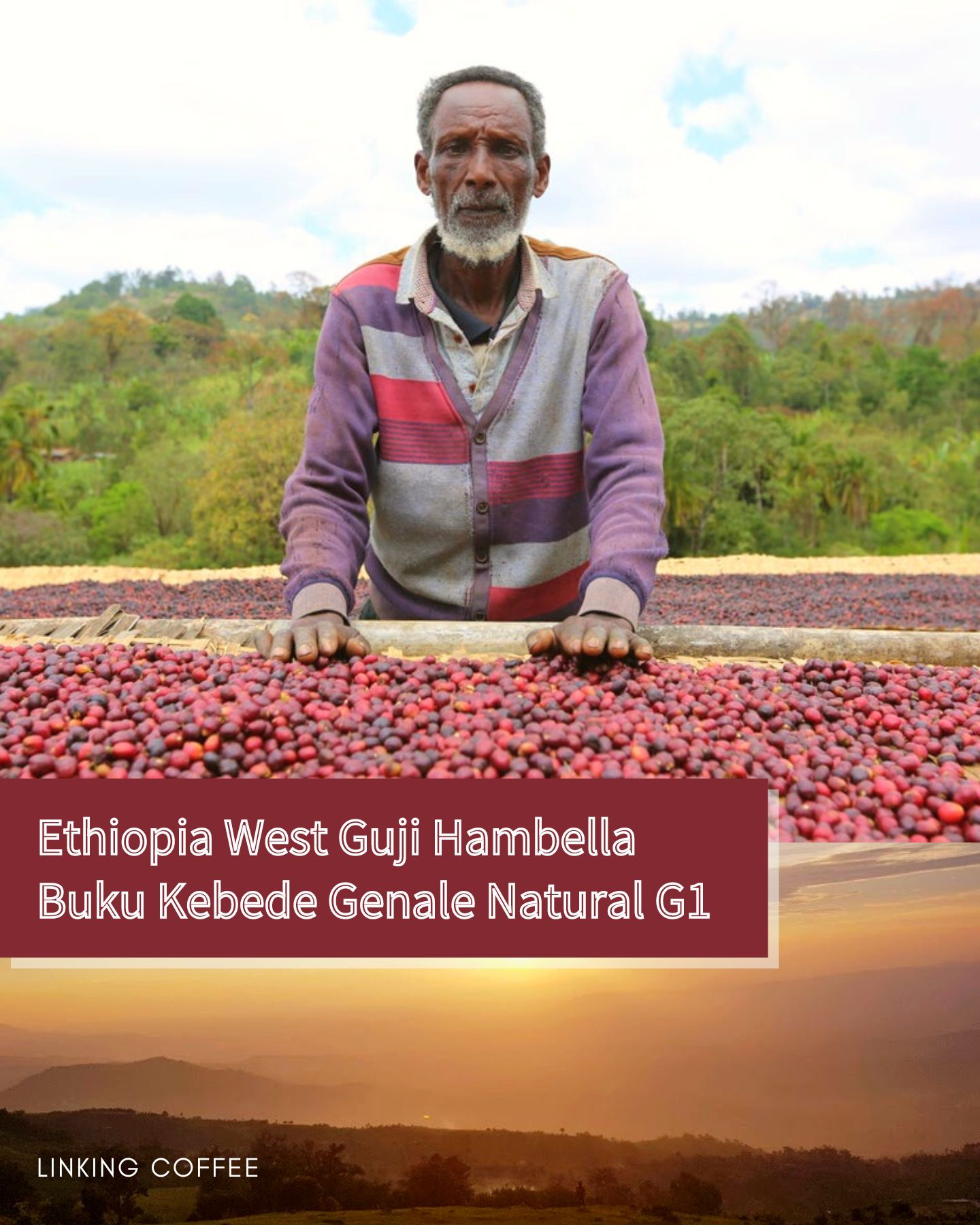 聯傑咖啡事業股份有限公司